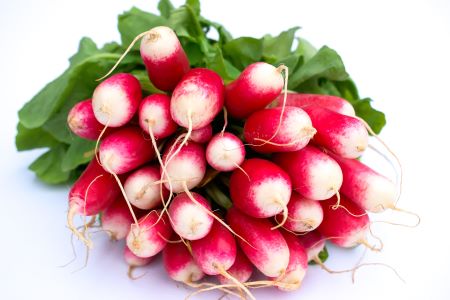 Radis (la pièce) – DuteeFruit